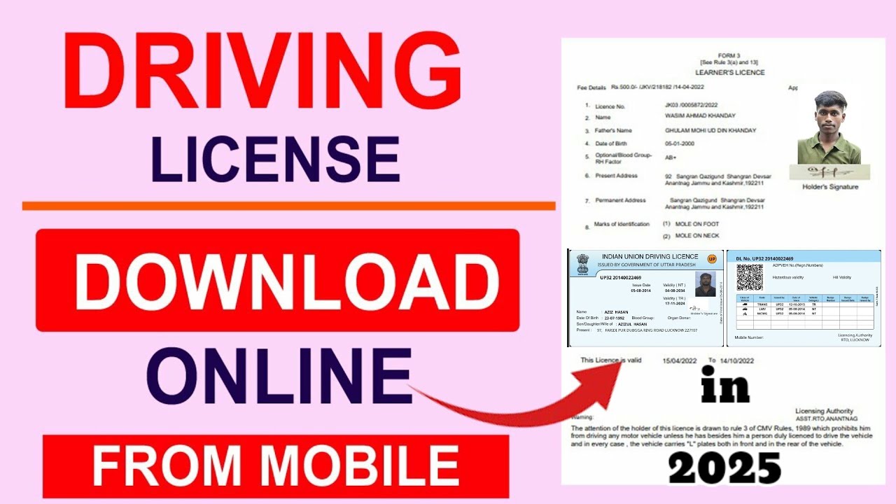 DL Print Online Free Free/ घर बैठे बिना RTO जाए/ 2024 2025 - YouTube