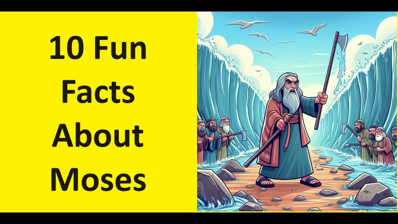 10 Fun Facts About Moses #biblestudy #biblestories #bible #biblereading ...