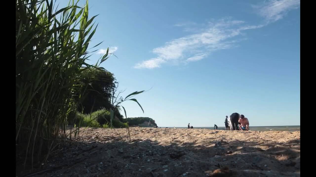 Calvert Cliffs, Maryland - Timelapse 1 - YouTube