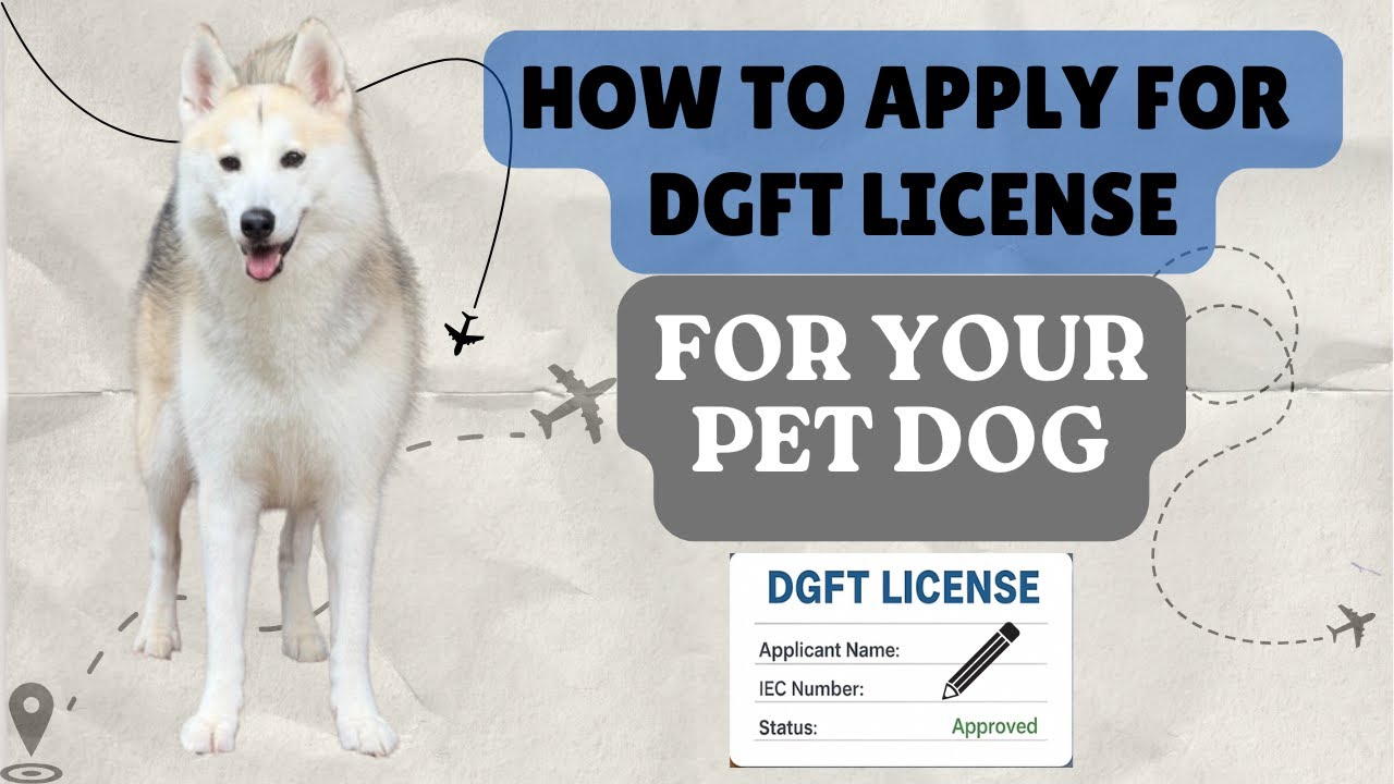 How to Apply For DGFT License For Your Pet Dog Online | Travel from US ...