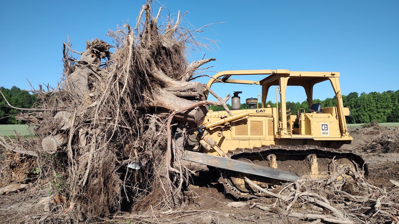 The D6 Is Ready To Work! - YouTube