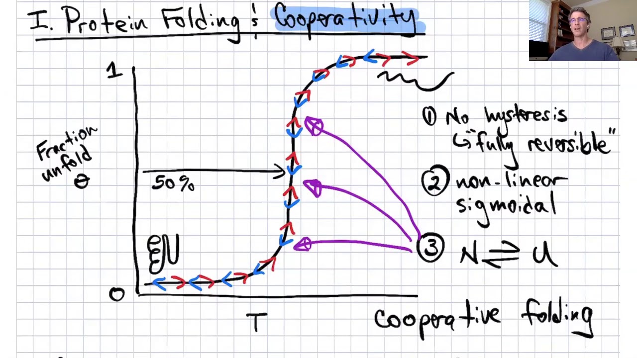 Lecture8a ProteinFolding - YouTube