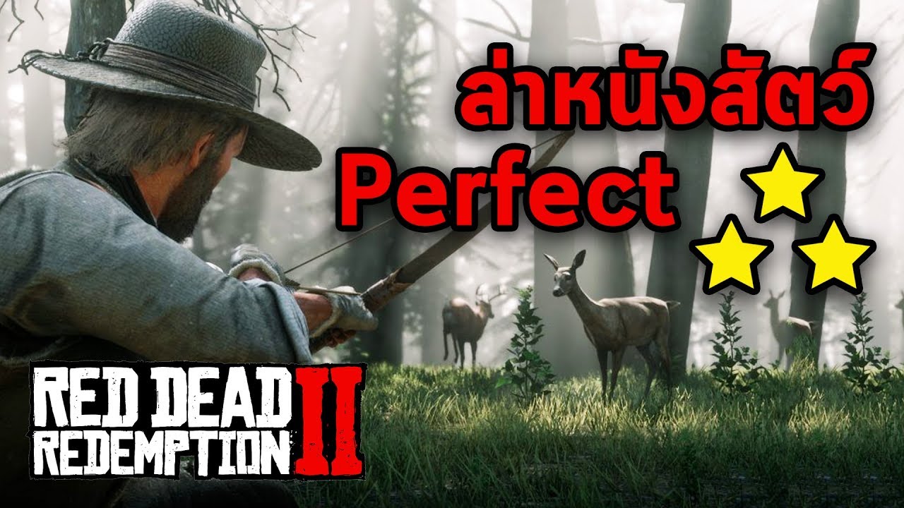 วิธีล่าหนังสัตว์ Perfect 3 ดาว - Red Dead Redemption 2 - YouTube