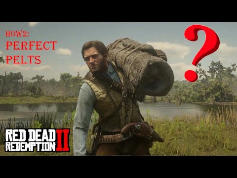 🎮 RDR2 // How to Get Perfect Pelts // How2 Gaming - YouTube
