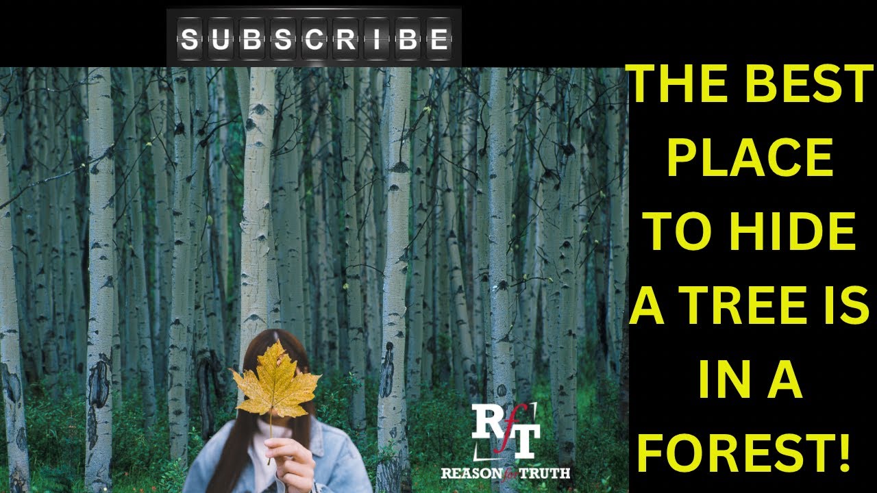The Best Place To Hide A tree Is In A Forest (PT1) - YouTube