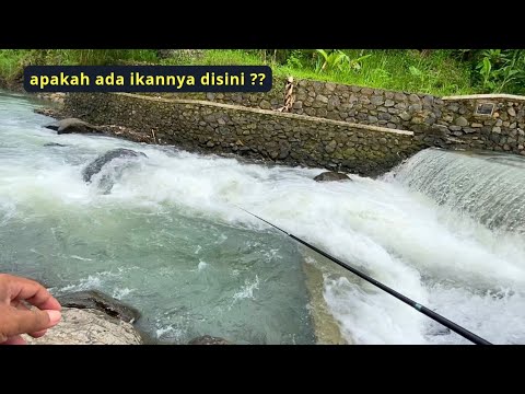 akhirnya strike juga mancing ikan sirip merah disungai yang berbatu - YouTube