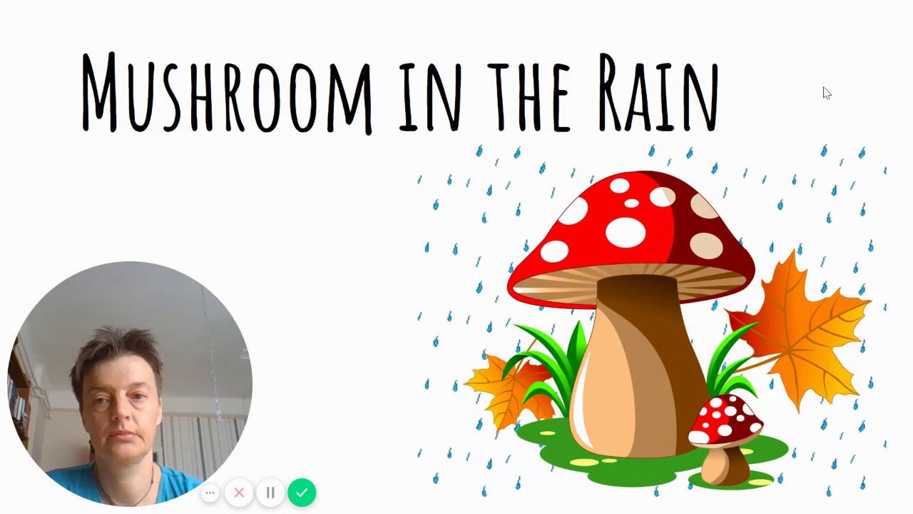 Mushroom in the Rain Google Diák - YouTube