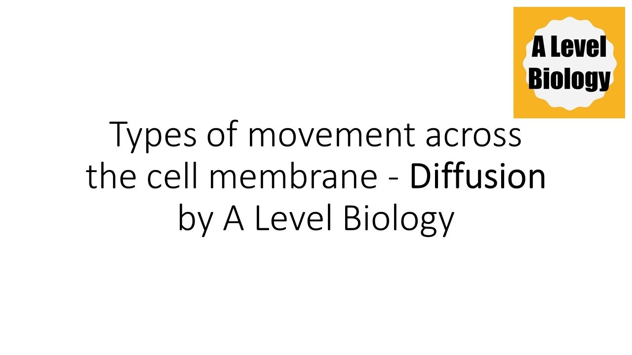 Types of movement across the cell membrane - Diffusion | A Level ...