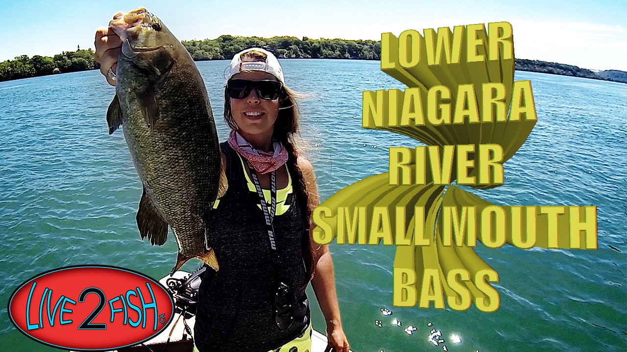 Lower Niagara River Smallmouth Bass - Live 2Fish - Adventures #4 - YouTube