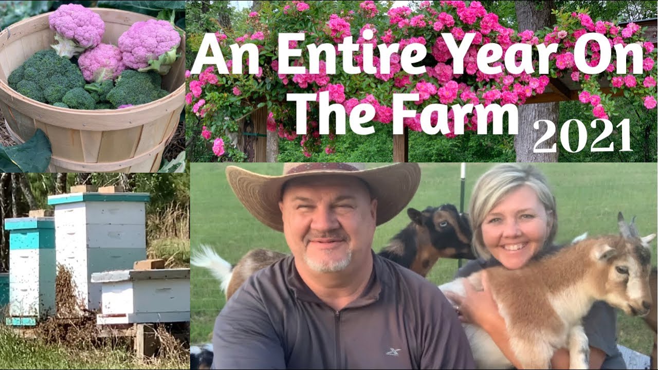 An Entire Year On The Farm 2021 - YouTube