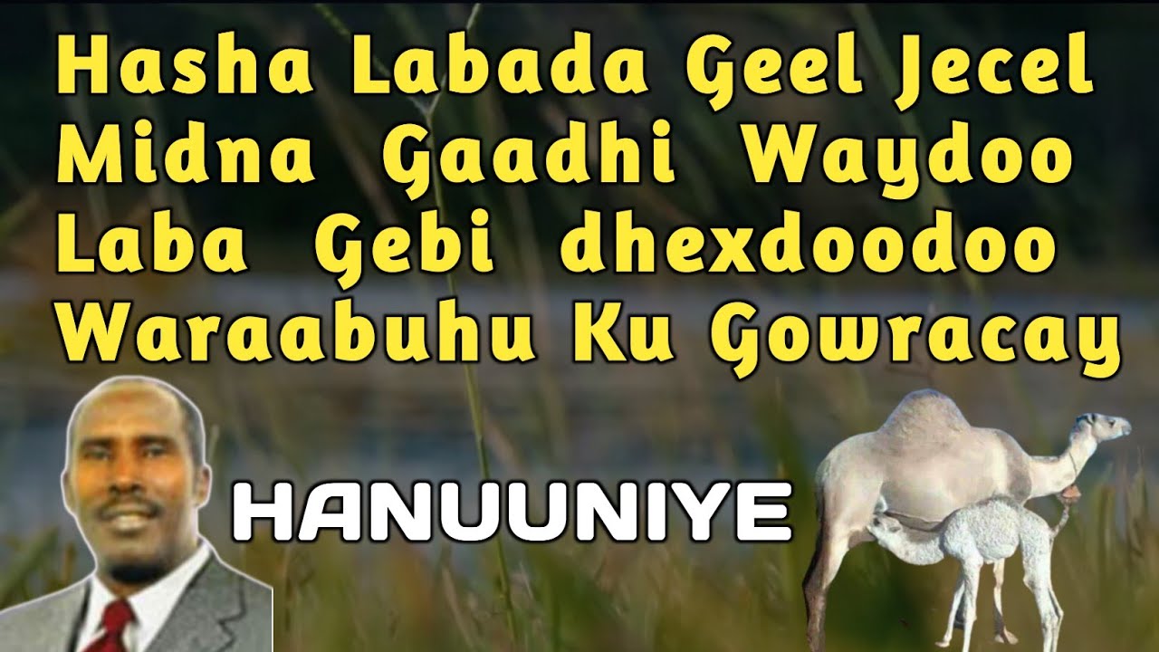 hasha labada geel jecel | hanuuniye Hees qaraami ah | cabdalla yuusuf ...