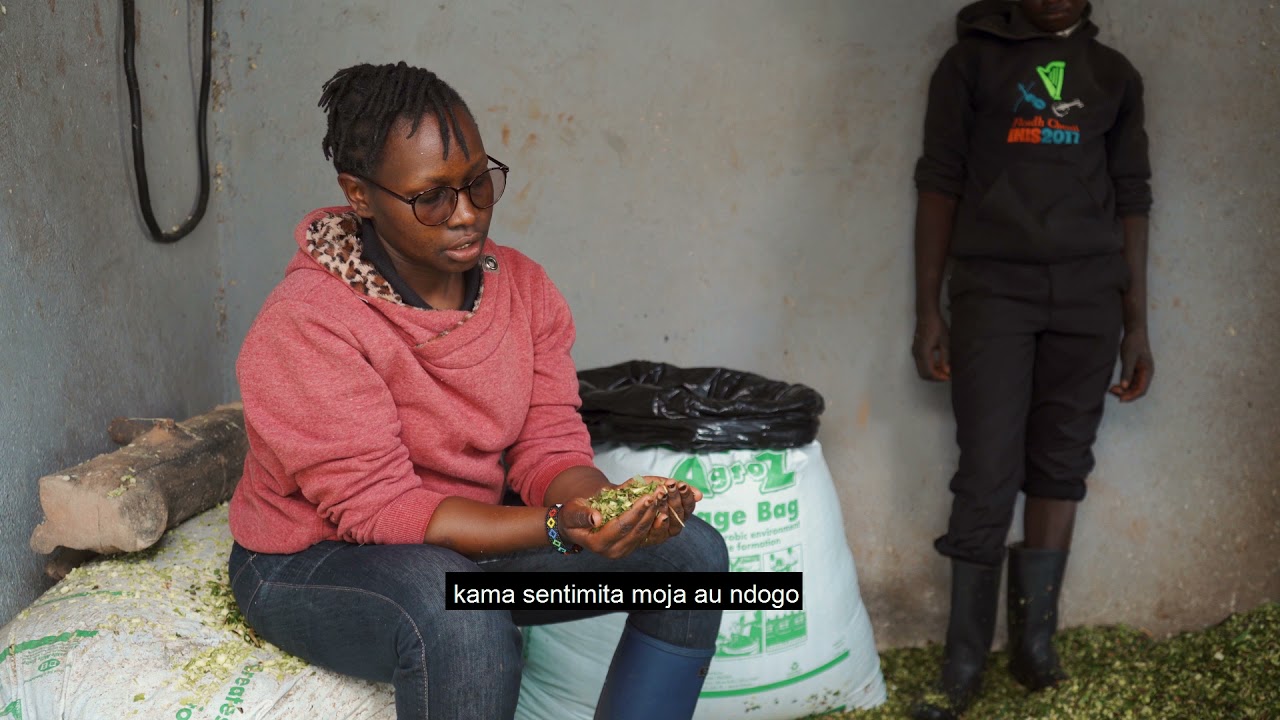 Improved Methods of Forage Harvesting and Conservation - YouTube