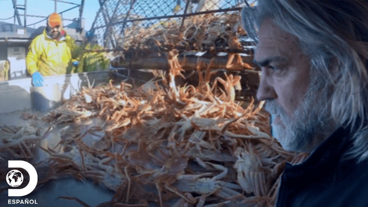 Crisis inesperada en el Cape Caution | Pesca Mortal | Discovery en ...