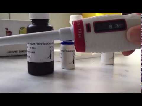 Lactopast Biomedix Fast Phosphatase - Test for the proper detection of ...
