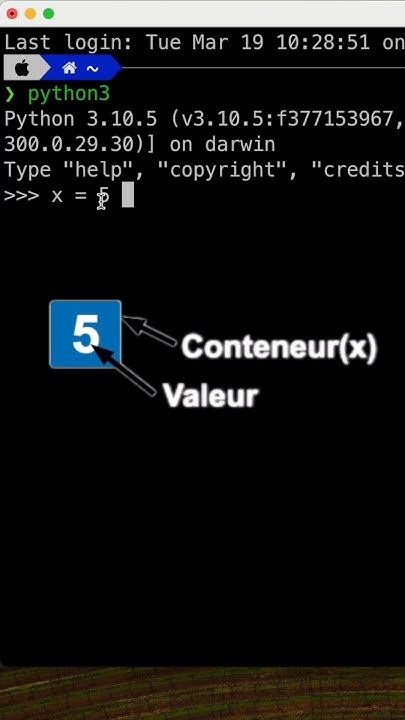 C’est quoi une variable en python. - YouTube