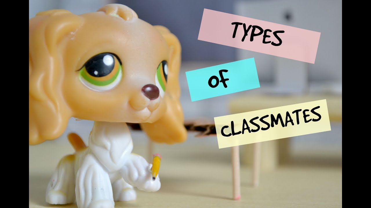 LPS: Types Of Classmates - YouTube