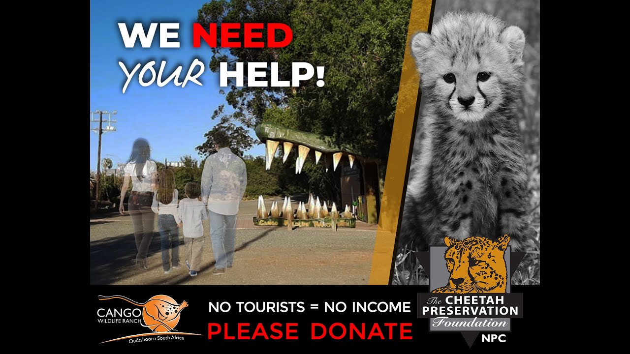 Please... Help Save Us - YouTube