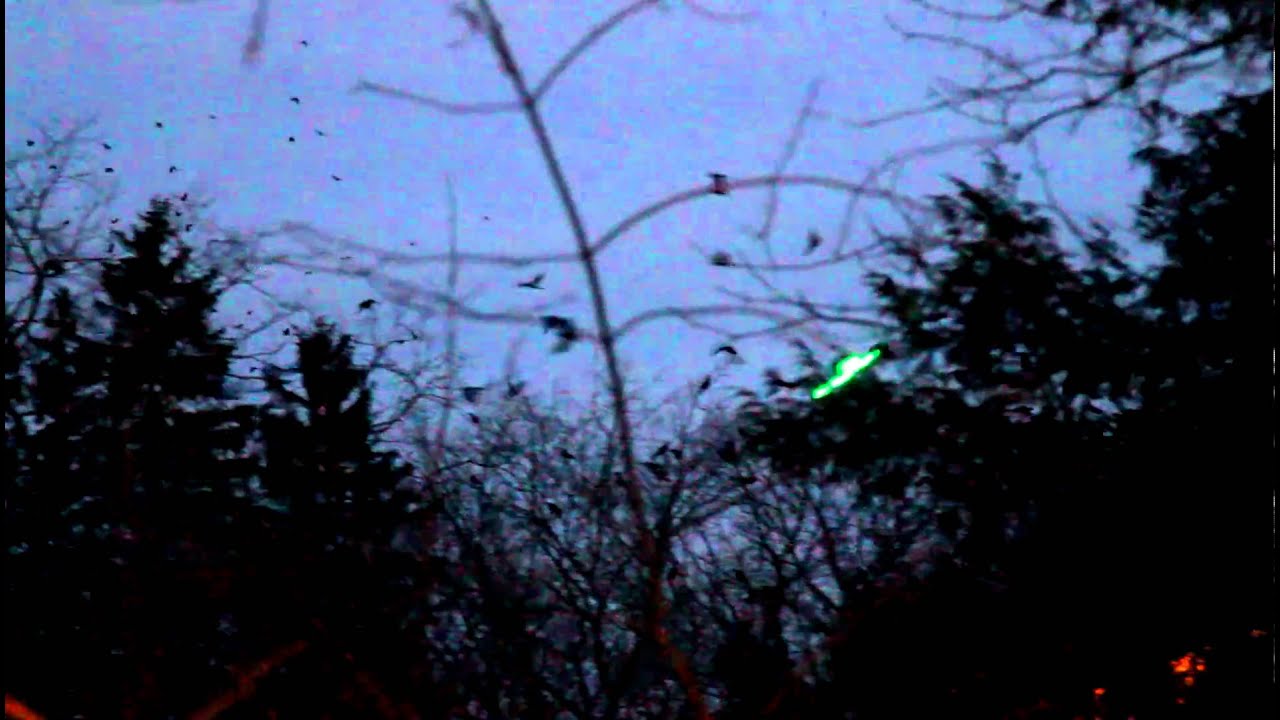 laser crows 2: the rematch - YouTube