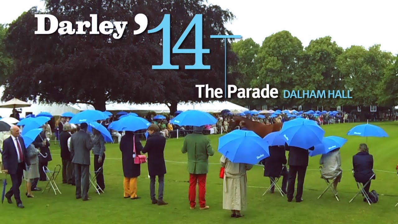 Highlights of our annual stallion parade at Dalham Hall stud in ...