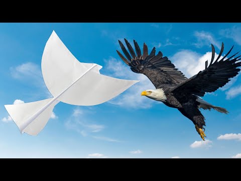 Kağızdan Təyyarənin Qartal kimi Uçmasını Necə Etmək olar