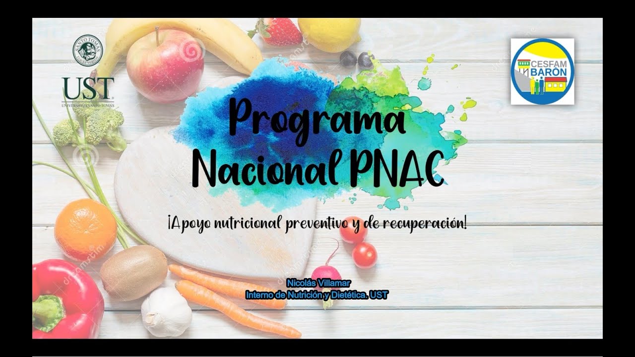 Video 6 Programas Alimentarios PNAC - YouTube