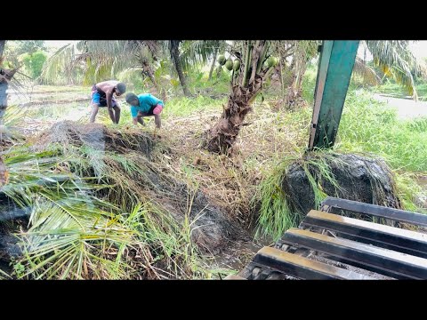 Amphibious excavator canal cleaning 👍👍 1st step - YouTube