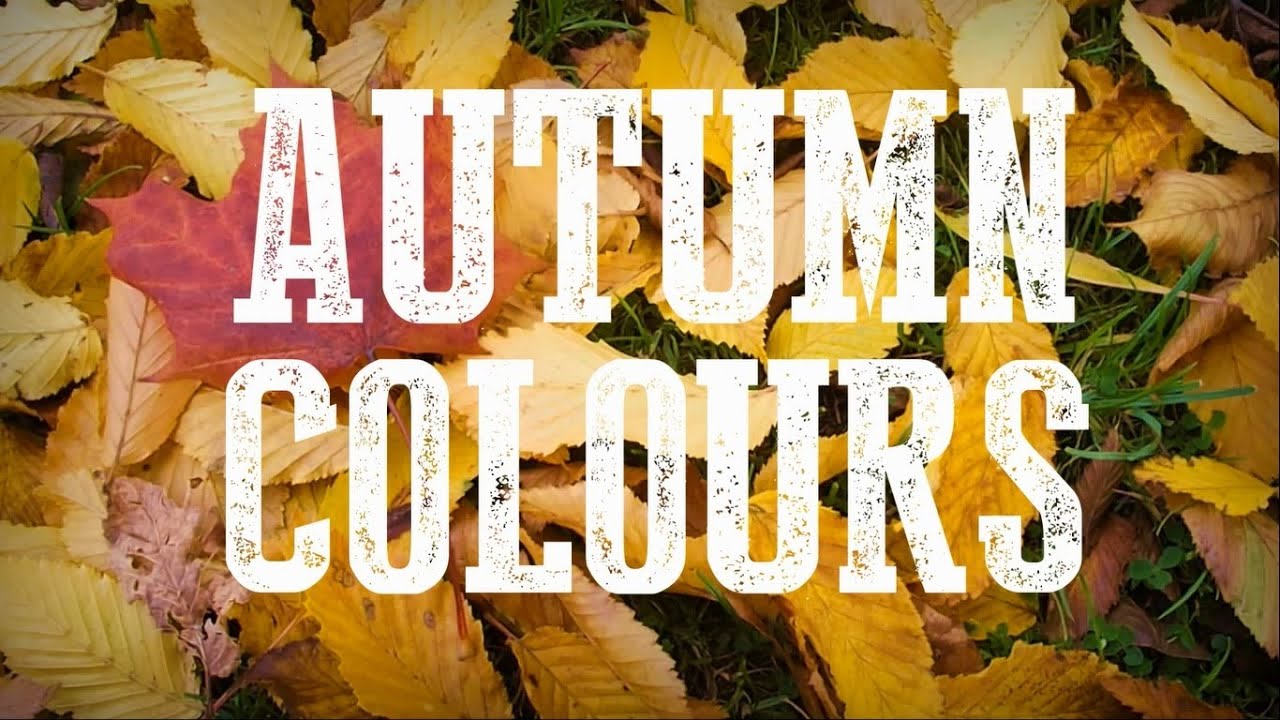 Autumn Colours - Around Leicestershire - YouTube