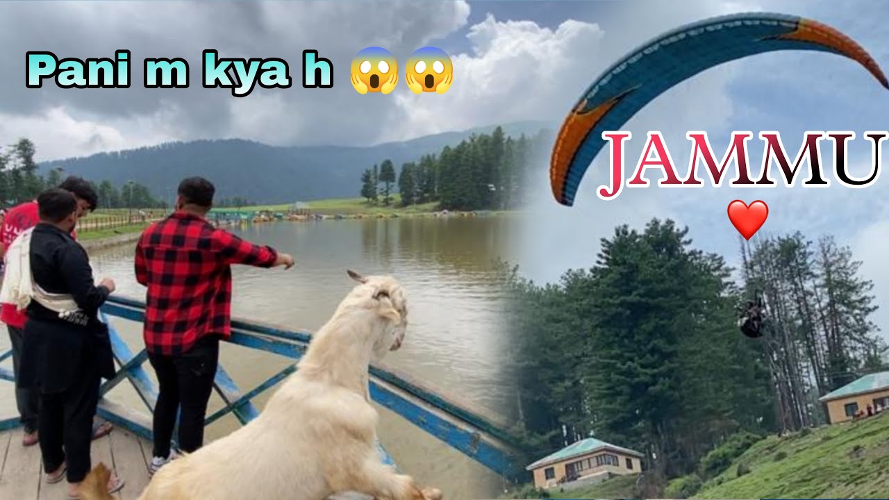 Bkri pani m kya dekh rhi h 😨|| Places to visit in jammu 🥰 || vlog- 14 ...