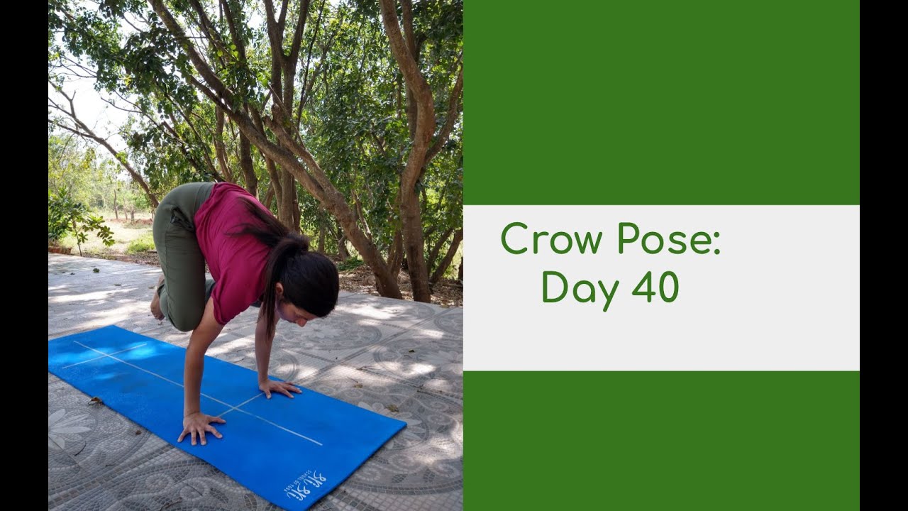 Crow pose Day 40 | Kickstart your metabolism and build the core ...