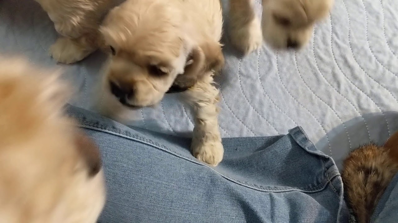 Zoe - The Sass Is Strong With This One - YouTube