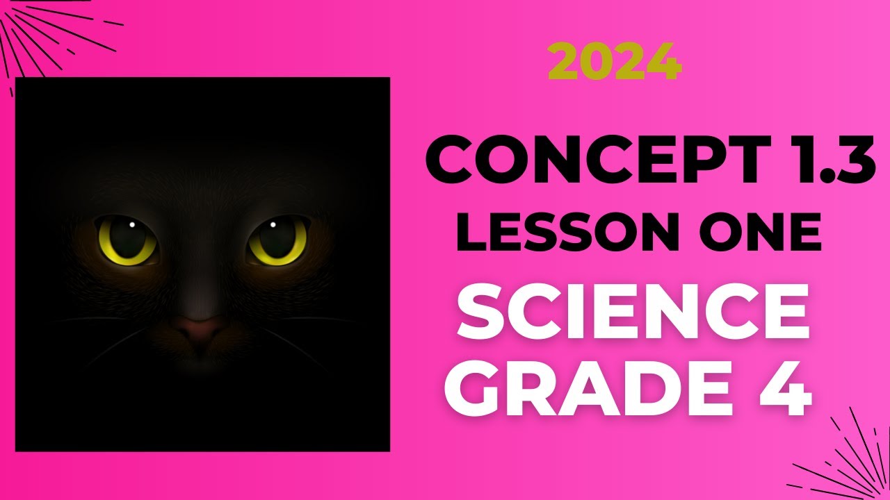 Concept 1.3 | light and sight lesson 1 | Science grade 4 | ساينس رابعه ...