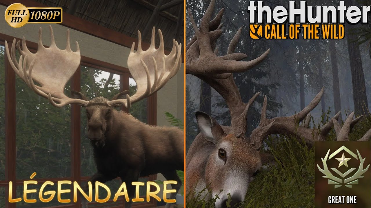 THEHUNTER COTW 🥇 GREAT ONE ! LE CERF DE VIRGINIE GREAT ONE - L'ELAN ...