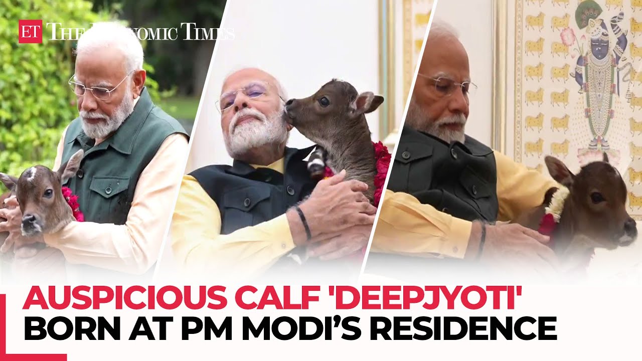 Meet PM Modi's new family member, ‘Deepjyoti’ - YouTube
