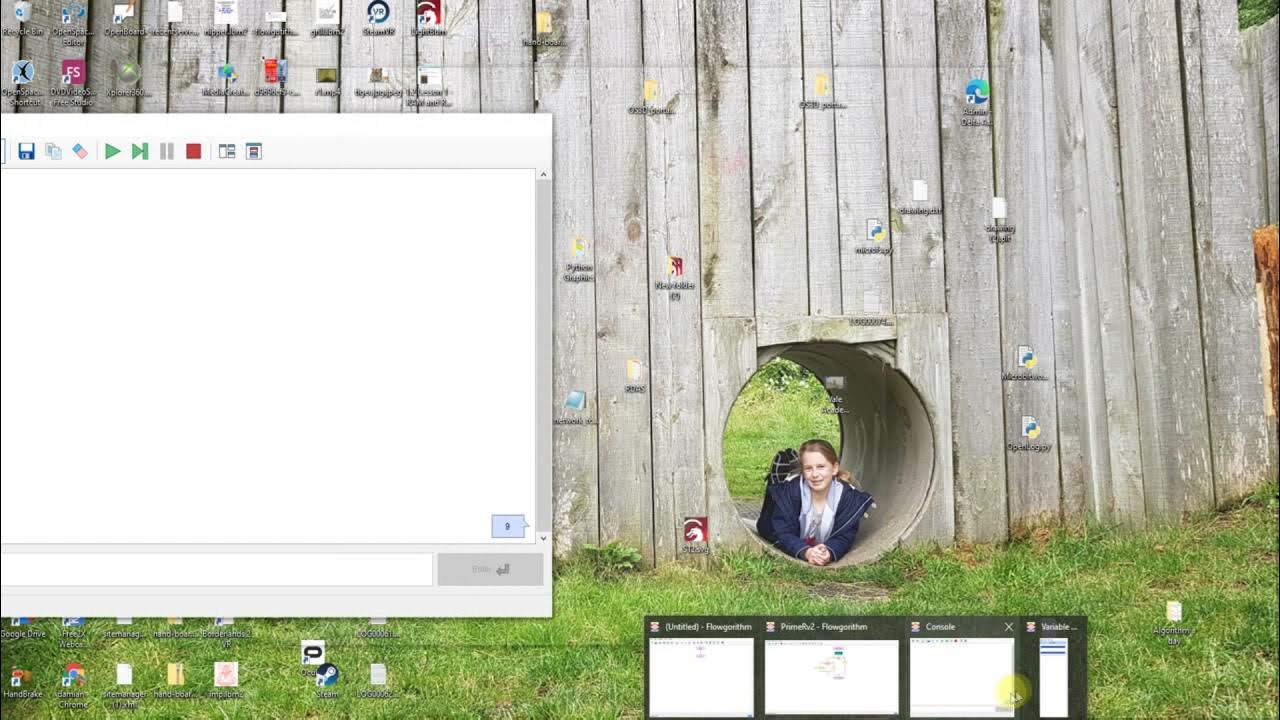 Flowgorithm - Prime Using Recursion - YouTube