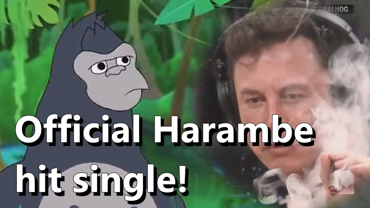Official Music Video 2019 Harambe song! - YouTube