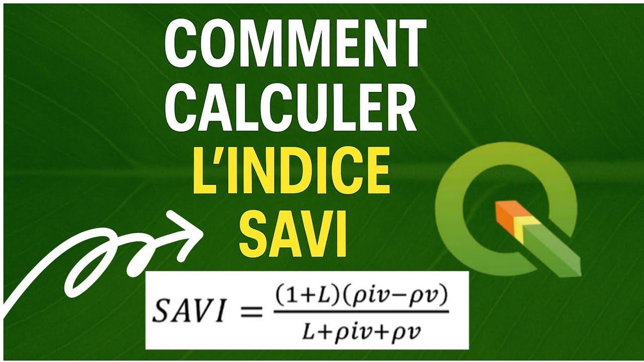 🔴 QGis : Calculez l’indice SAVI et interprétez-le facilement, Étape par ...