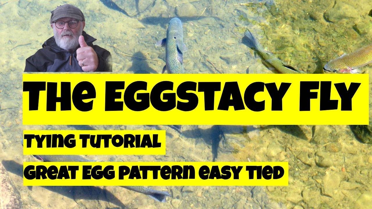 The Eggstacy Fly (Easy tied egg fly) - YouTube
