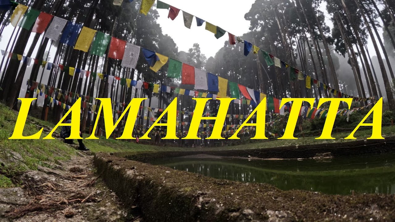 LAMAHATTA DARJEELING| VILLAGE ECO PARK| TOUR| #lamahatta #darjeeling # ...