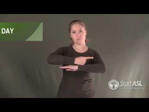 ASL 2 Unit 3 - Duration Examples - YouTube