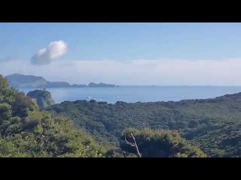 yeni Zelanda tsunami geliş anı. !!
