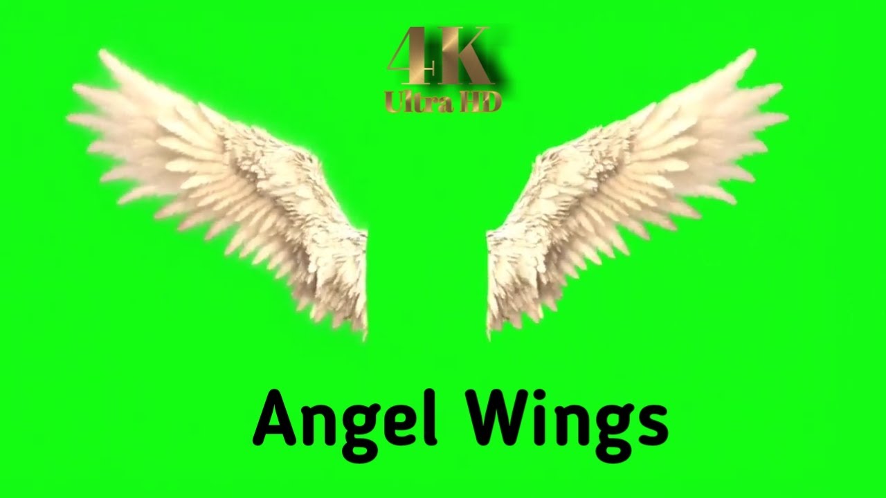 Angel Wings green Screen Effect Video | Angel Wings | RG Green Screen ...