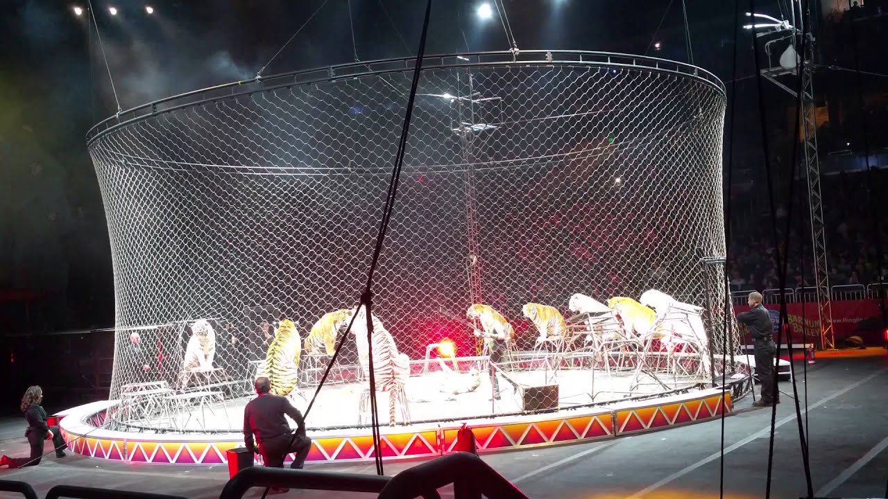 4k Circus extreme - YouTube