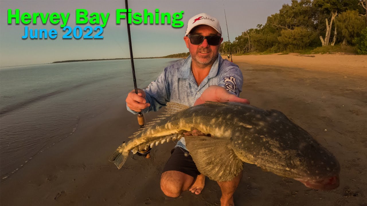 Hervey Bay Land Based Fishing - June 2022 - YouTube