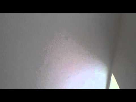 Yemen 8 year old Girl HOAX Marriage and Hampstead 2 children were raped ...