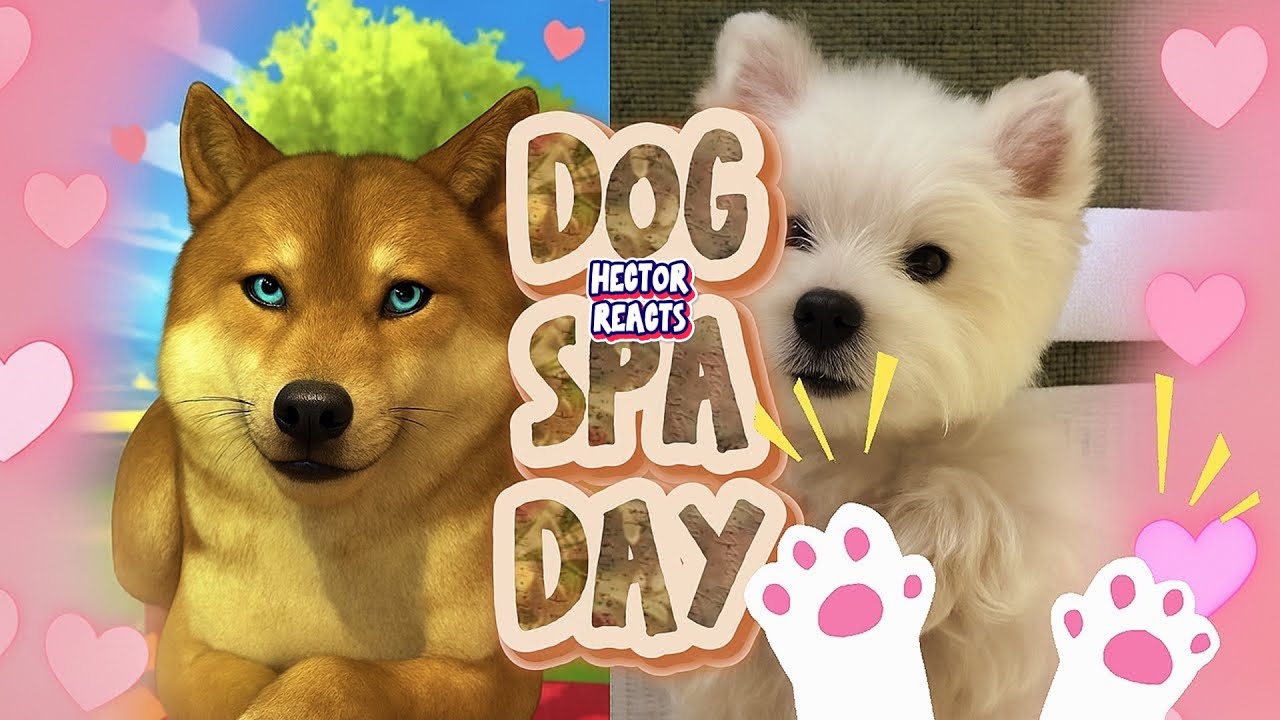 Ultimate Dog Spa Day – Relaxation & Pampering! 🛁 - YouTube