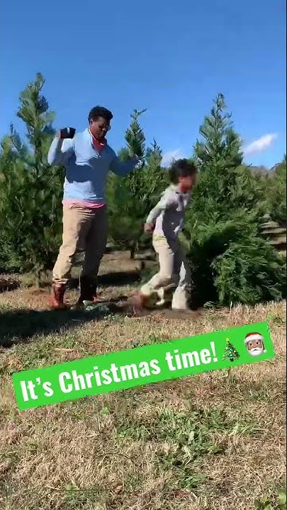 We Cut Down Our Christmas Tree At The Farm π
π½π§πΌβππ Christmas Tree
