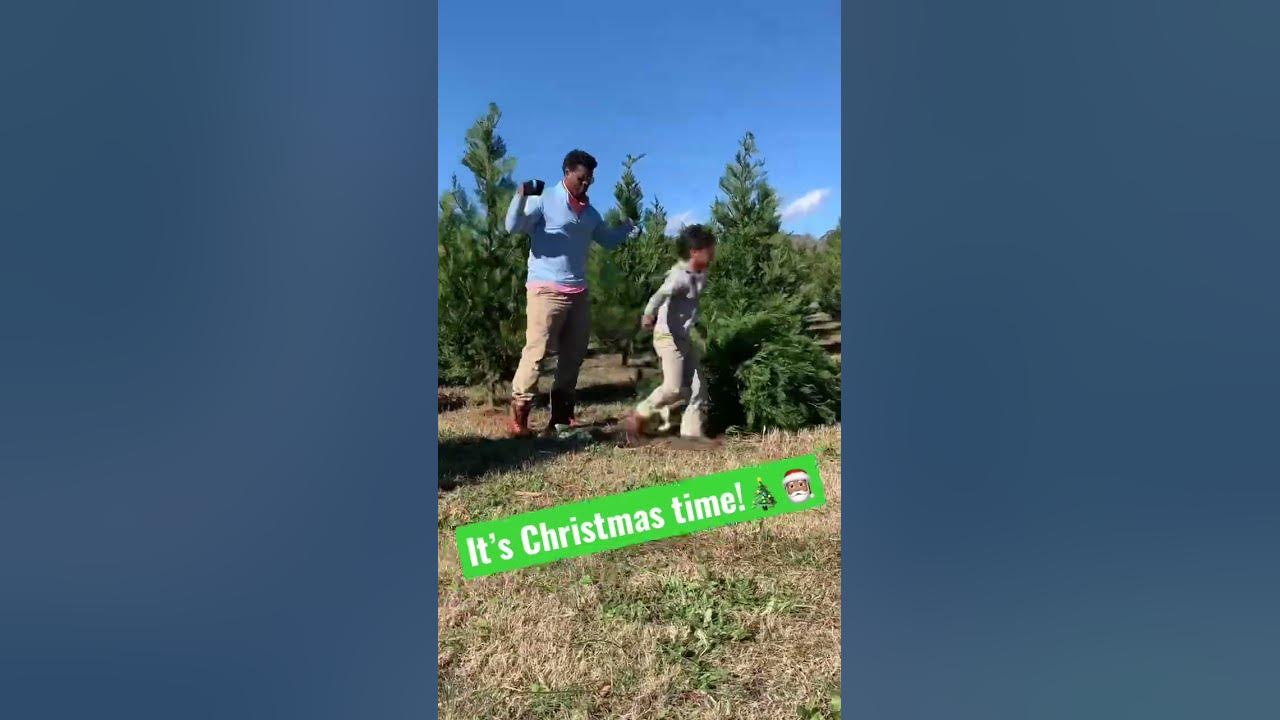 We Cut Down Our Christmas Tree At The Farm π
π½π§πΌβππ Christmas Tree