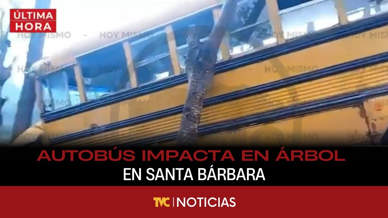 Autobús impacta en árbol por desperfectos mecánicos en comunidad de ...