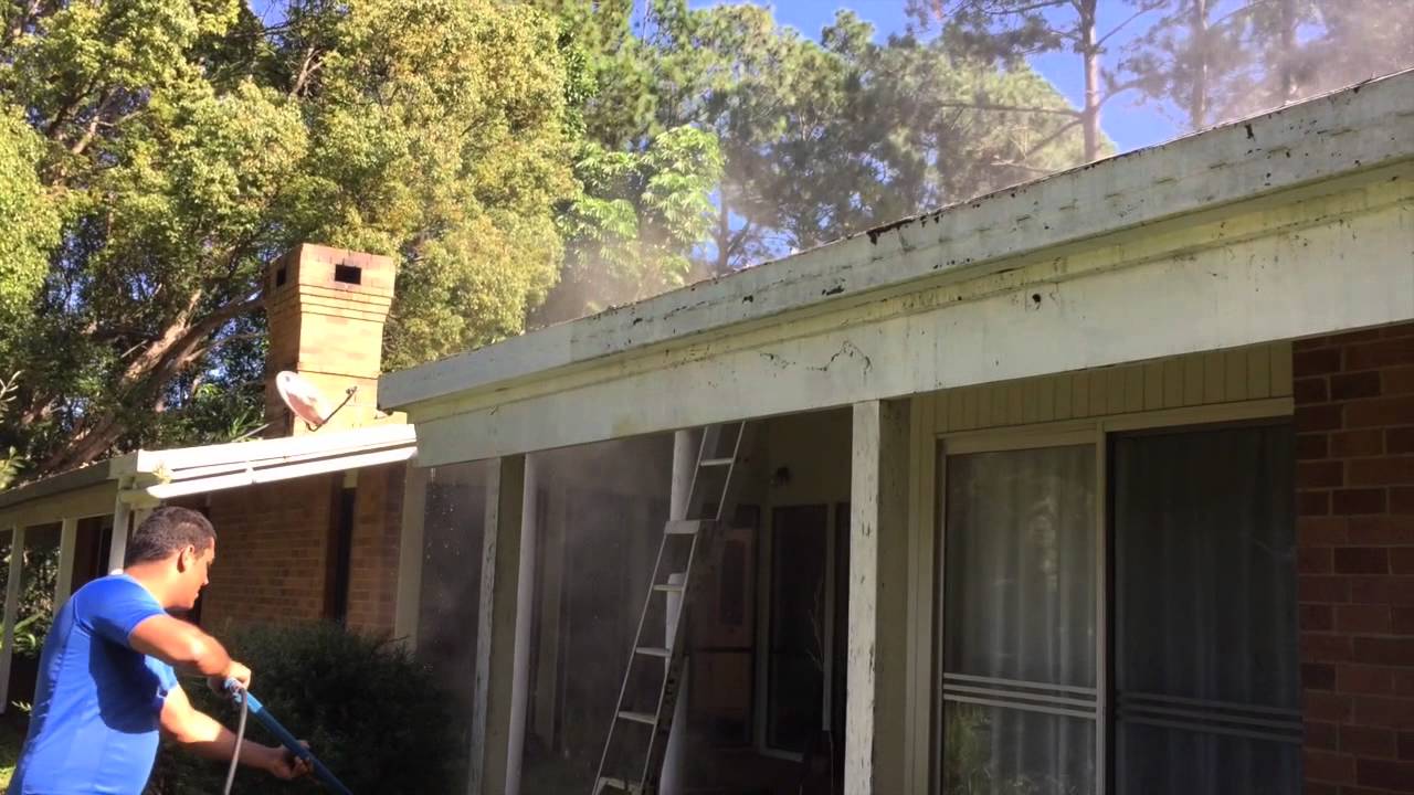 Steve's Window and Pressure Cleaning - Roof Cleaning Demo - YouTube