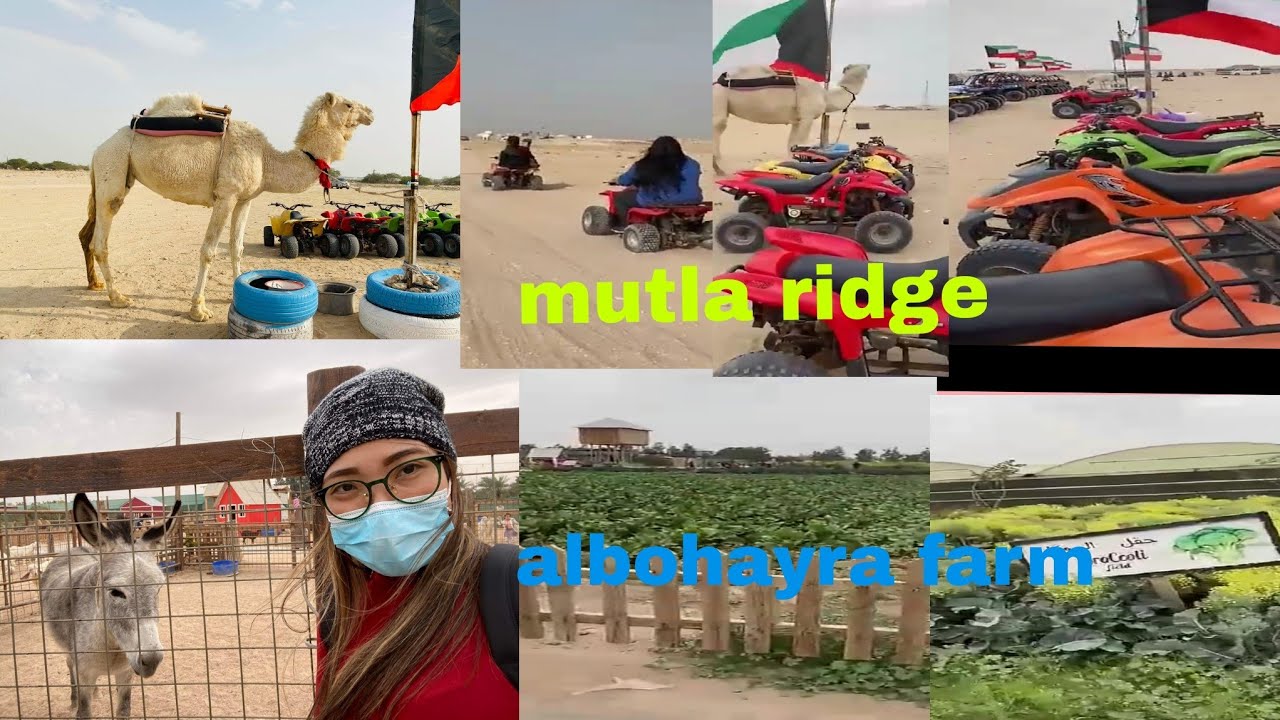 KADAMA IN KUWAIT / GALA SA ALBOHAYRA FARM & MUTLA RIDGE - YouTube